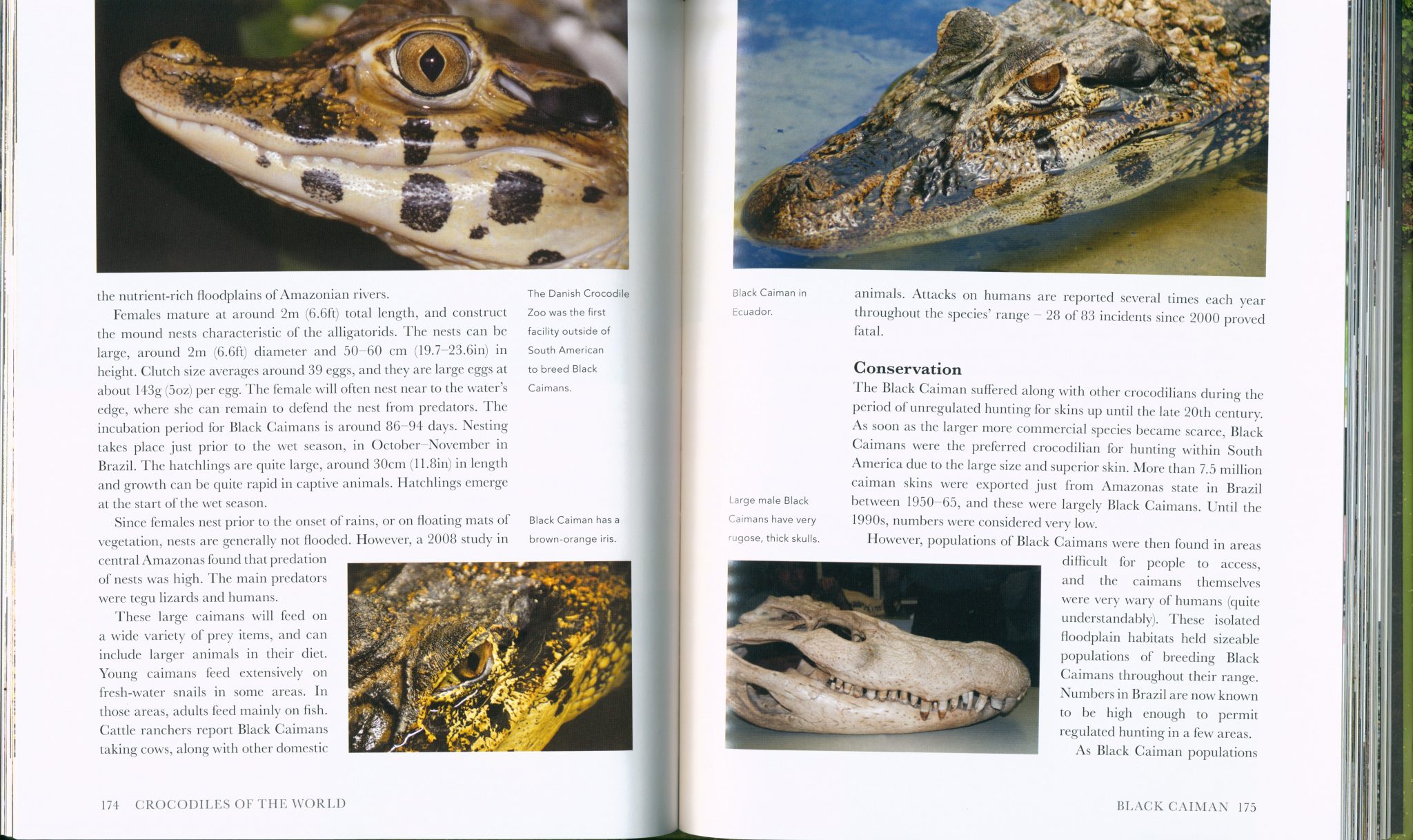 Crocodiles of the World: A Complete Guide to Alligators, Caimans ...