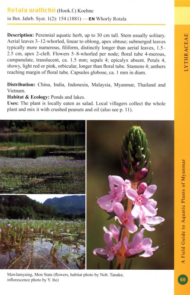 A Field Guide to Aquatic Plants of Myanmar - Nokomis