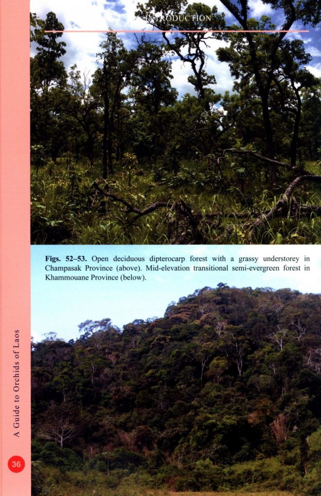A Guide to Orchids of Laos - Nokomis