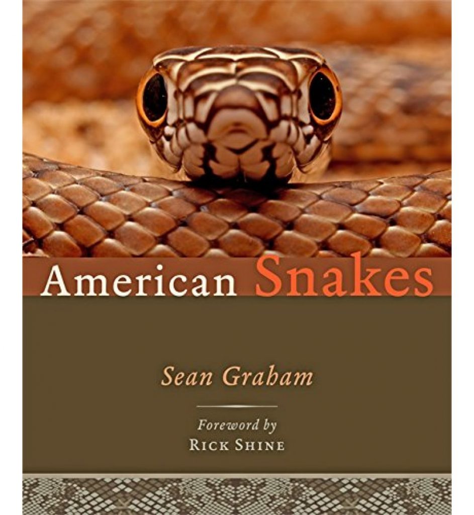 American Snakes - Nokomis