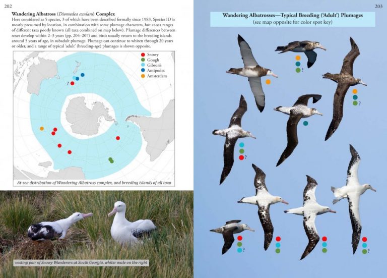 Oceanic Birds of the World: A Photo Guide - Nokomis