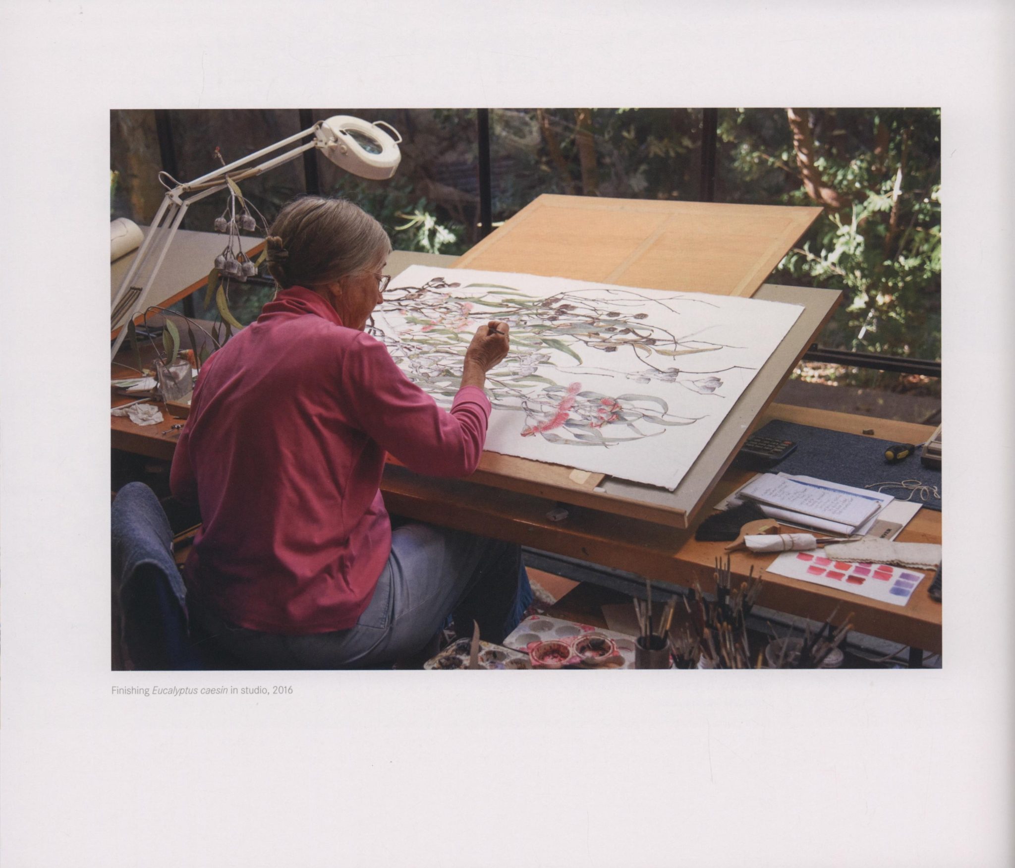 Nikulinsky Naturally: An Artist's Life - Nokomis