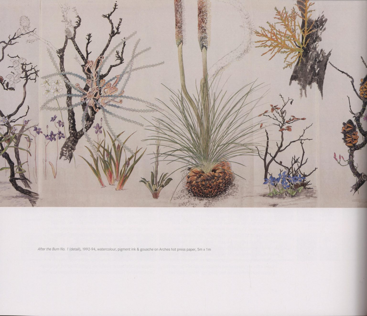 Nikulinsky Naturally: An Artist's Life - Nokomis
