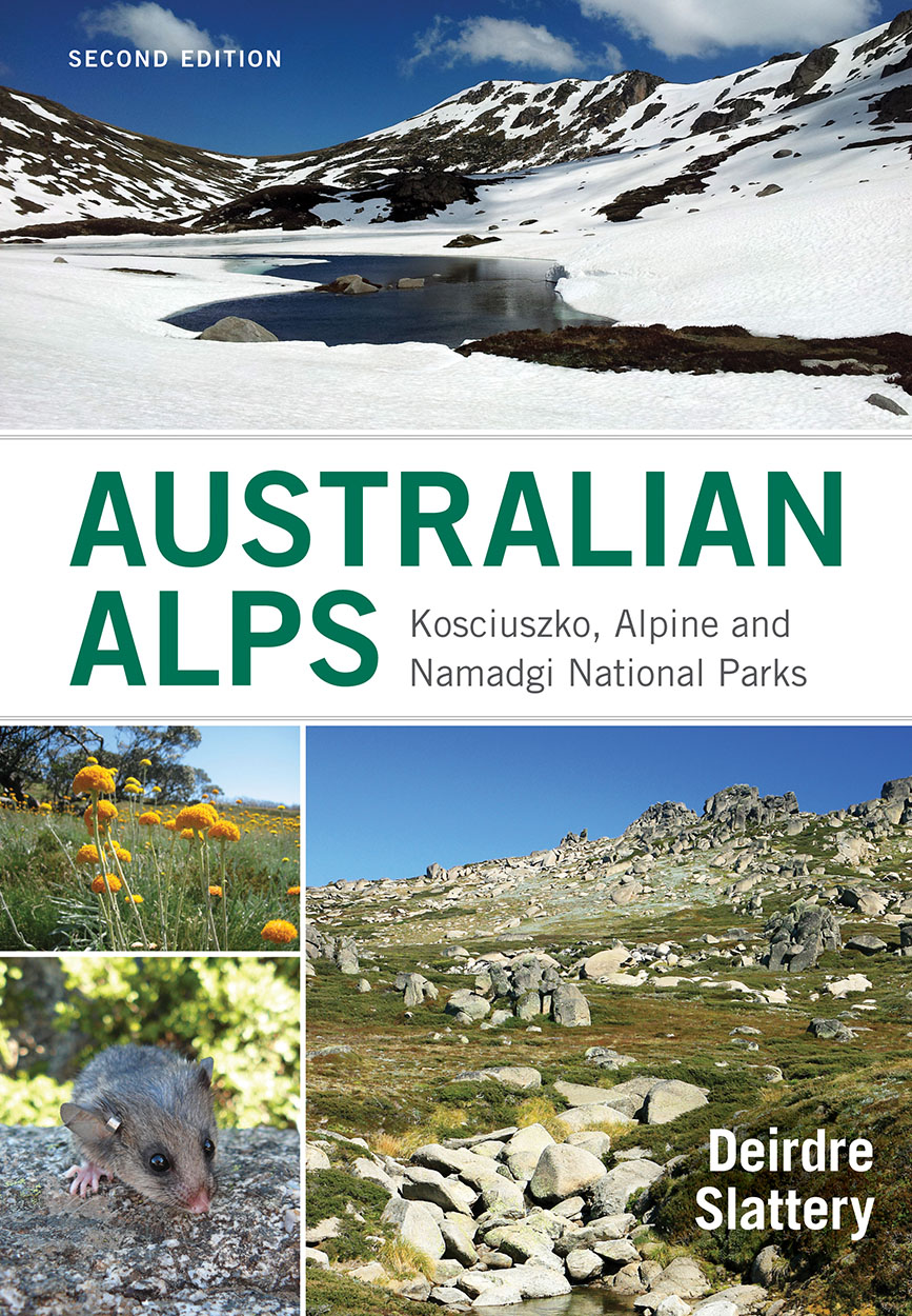 Australia's Volcanoes (Revised Edition) - Nokomis