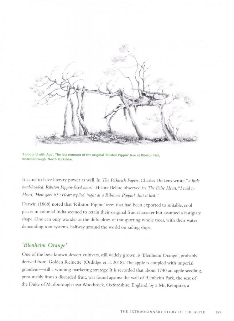 The Extraordinary Story of the Apple - Nokomis