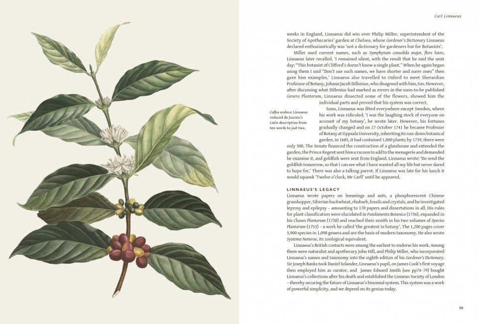 The Secrets of the Great Botanists And What They Teach Us About ...