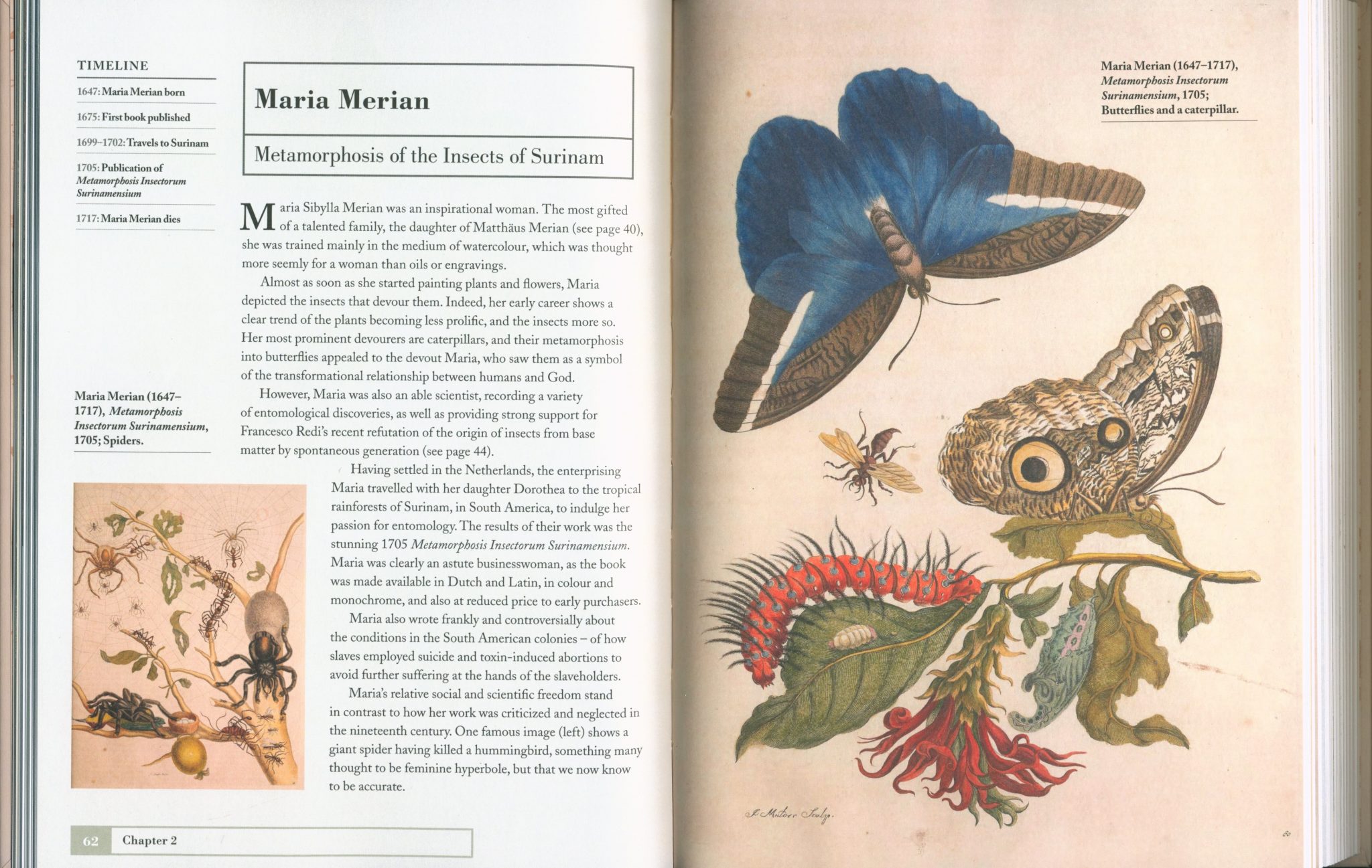 How Zoologists Organize Things: The Art of Classification - Nokomis