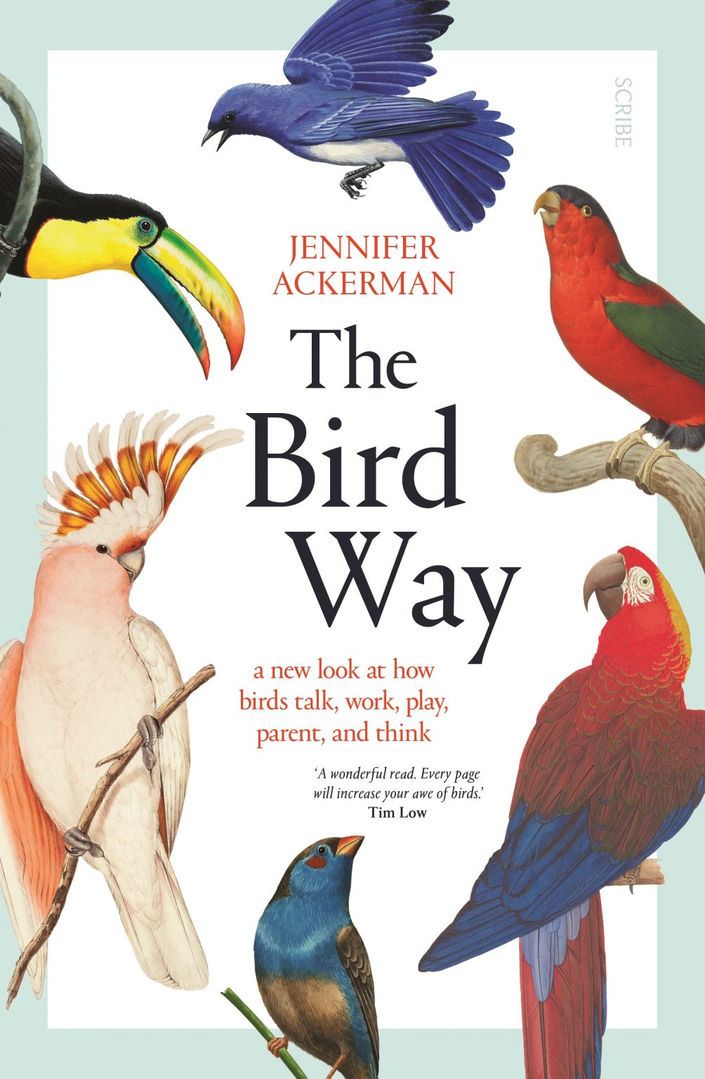 The Bird Way: A New Look at How Birds Talk, Work, Play, Parent, and ...
