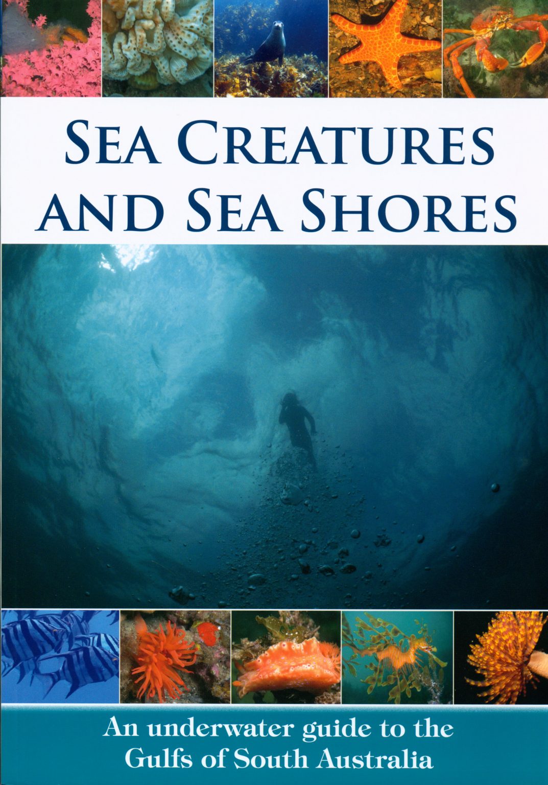 Sea Creatures and Sea Shores: An Underwater Guide to the Gulfs of South ...