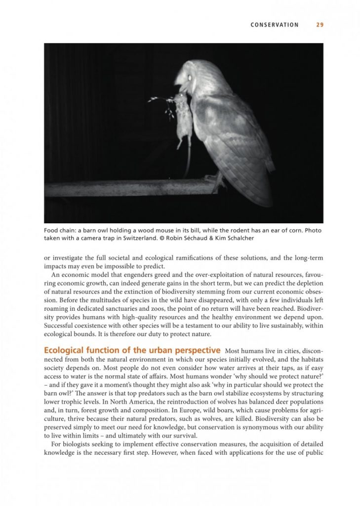 Facts Adaptations Diagram The Barn Owl Trust