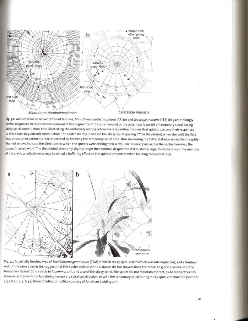 Spider Webs: Behavior, Function, and Evolution - Nokomis