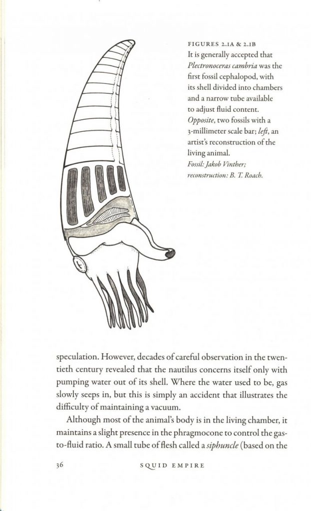 Monarchs of the Sea: The Extraordinary 500-Million-Year History of ...