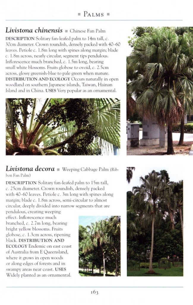 A Naturalist's Guide to the Trees of Southeast Asia - Nokomis