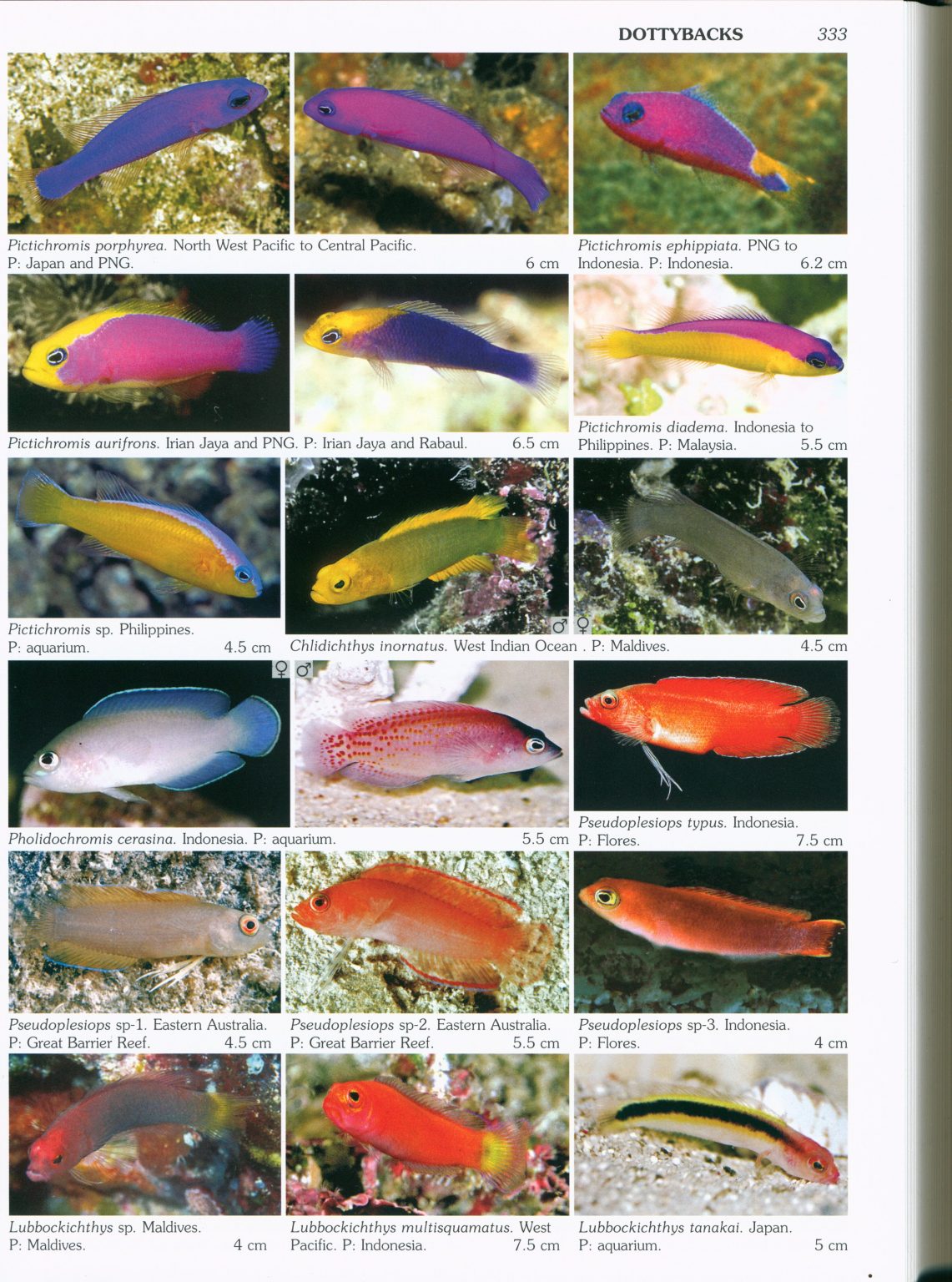 World Atlas of Marine Fishes - Nokomis