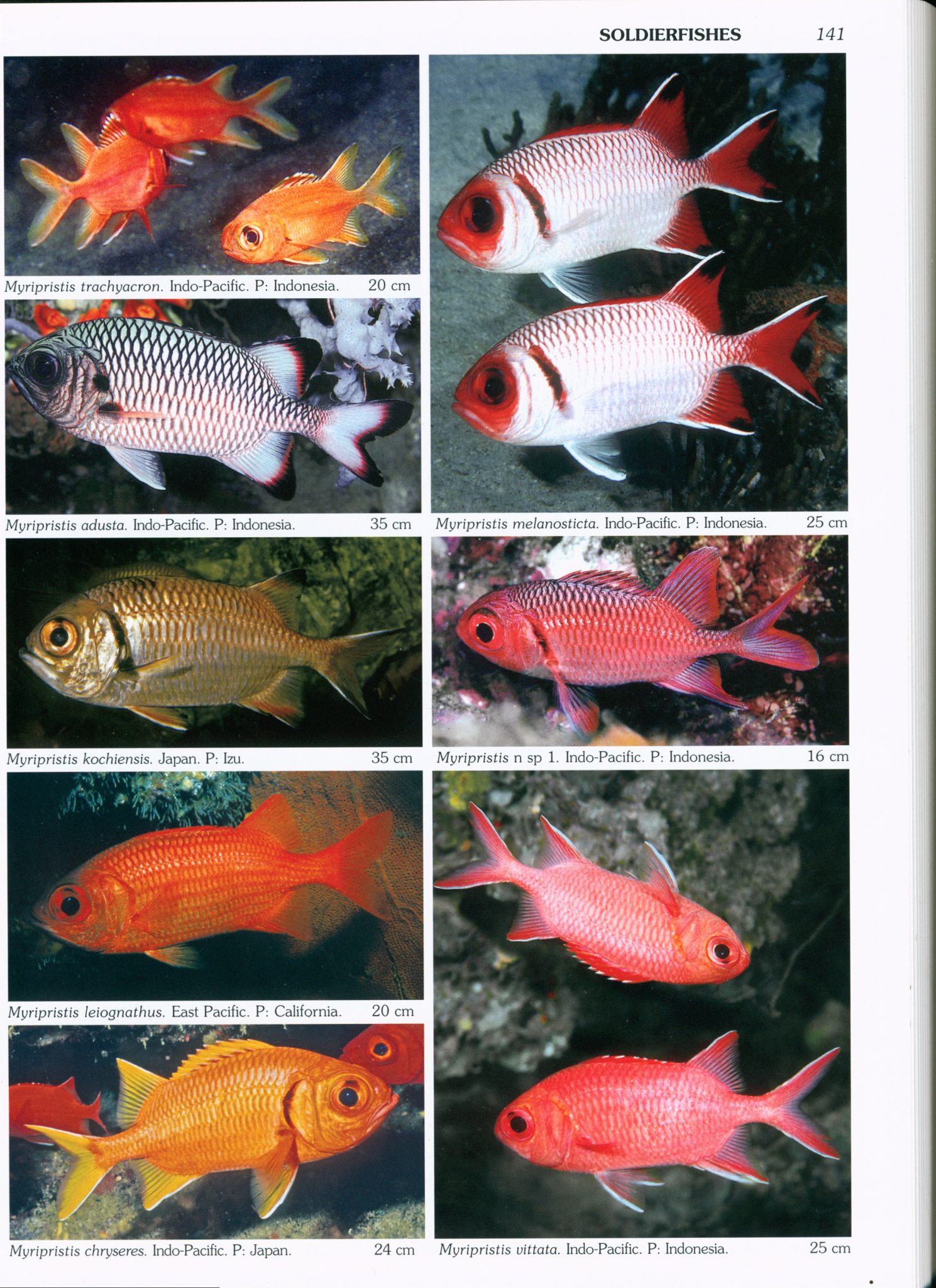 World Atlas of Marine Fishes - Nokomis