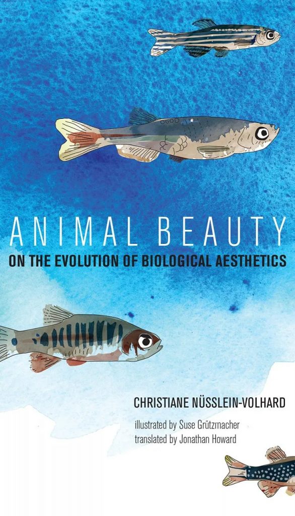 Animal Beauty: On the Evolution of Biological Aesthetics - Nokomis