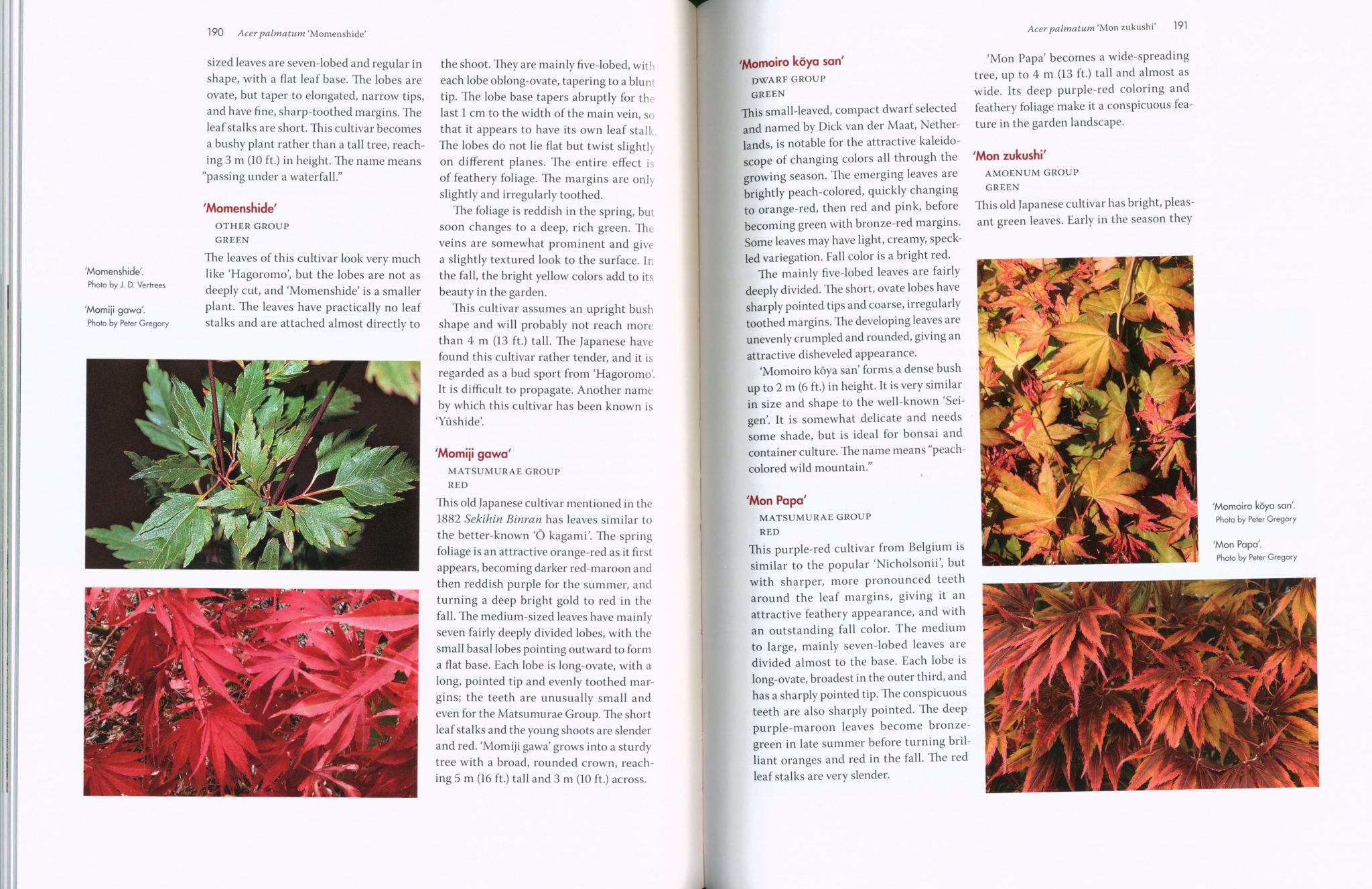 Japanese Maples: The Complete Guide to Selection and Cultivation ...