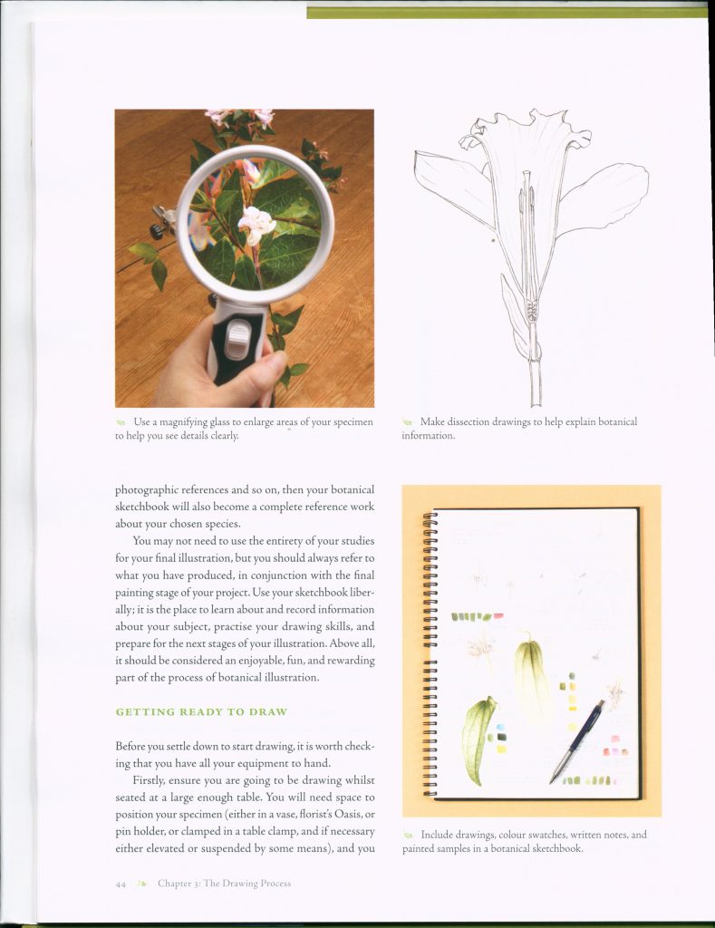 Botanical Illustration: The Complete Guide - Nokomis