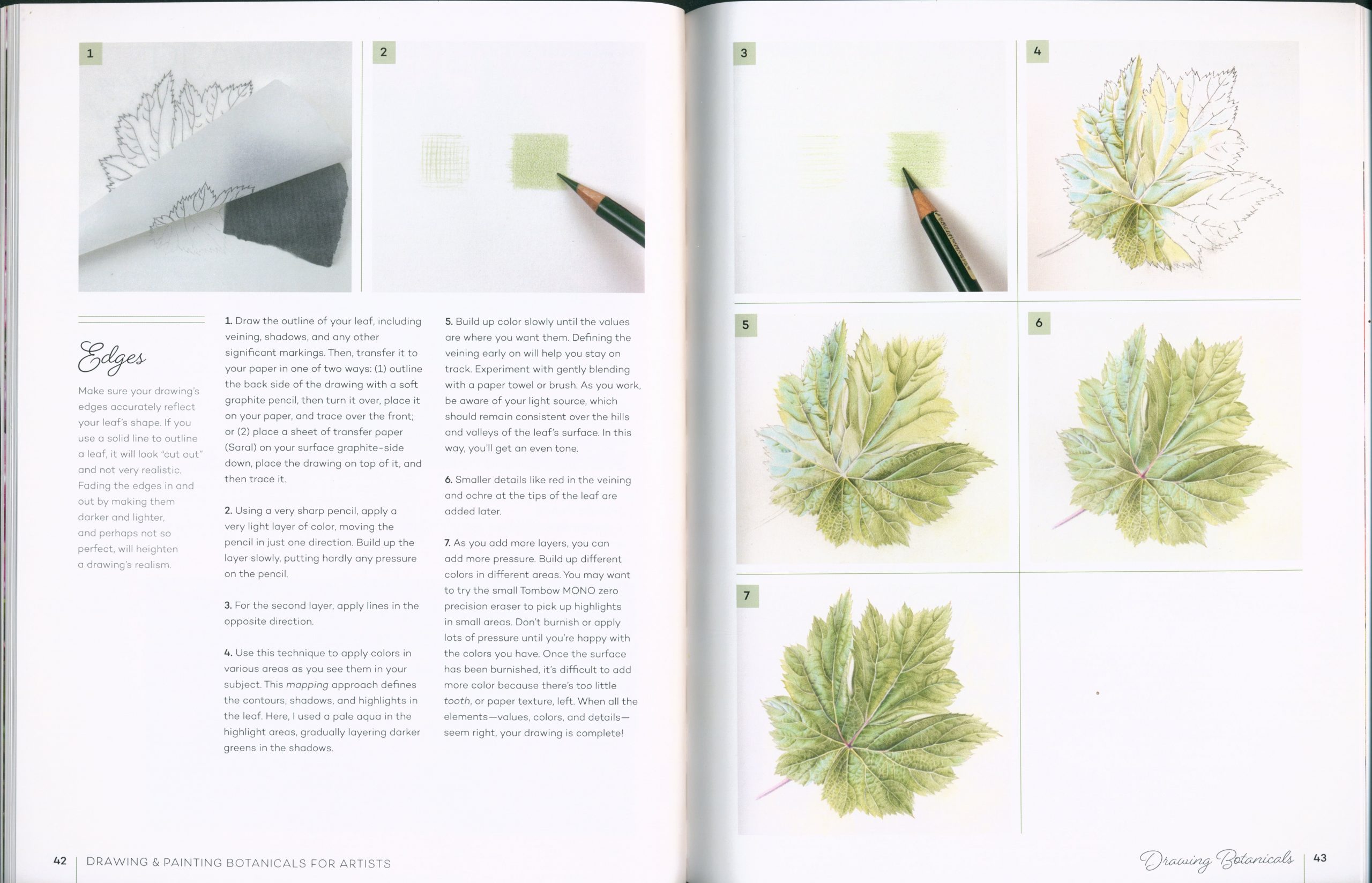 Drawing & Painting Botanicals for Artists: How to Create Beautifully ...
