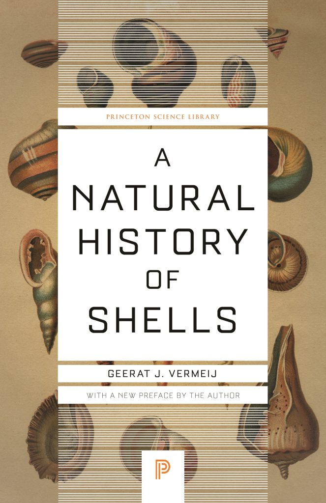 A Natural History of Shells - Nokomis