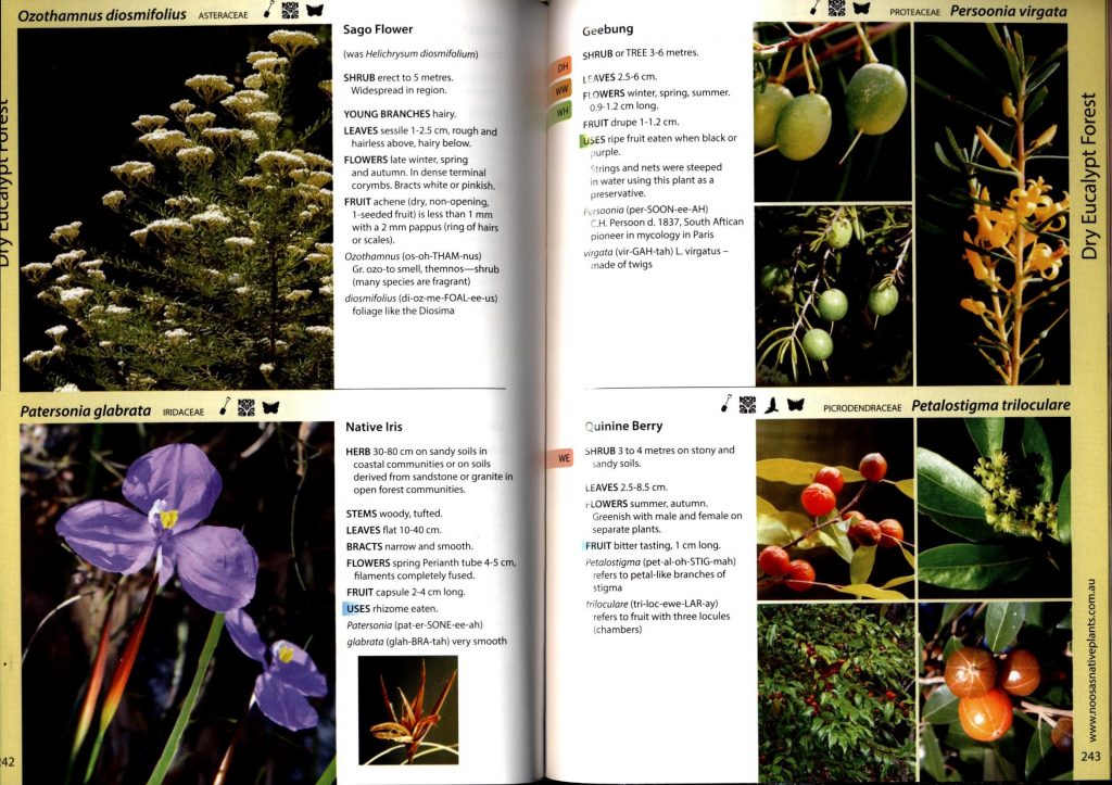 Noosa's Native Plants (Fourth Edition) - Nokomis