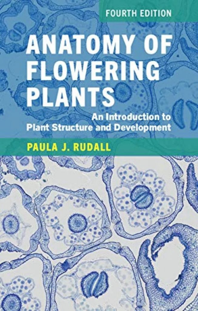 Anatomy of Flowering Plants: An Introduction to Structure and ...