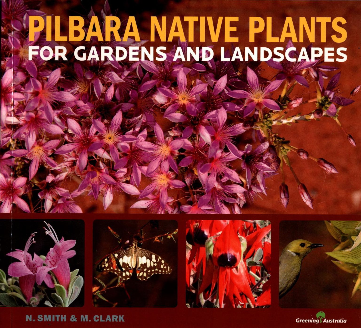 Pilbara Native Plants for Gardens and Landscapes - Nokomis