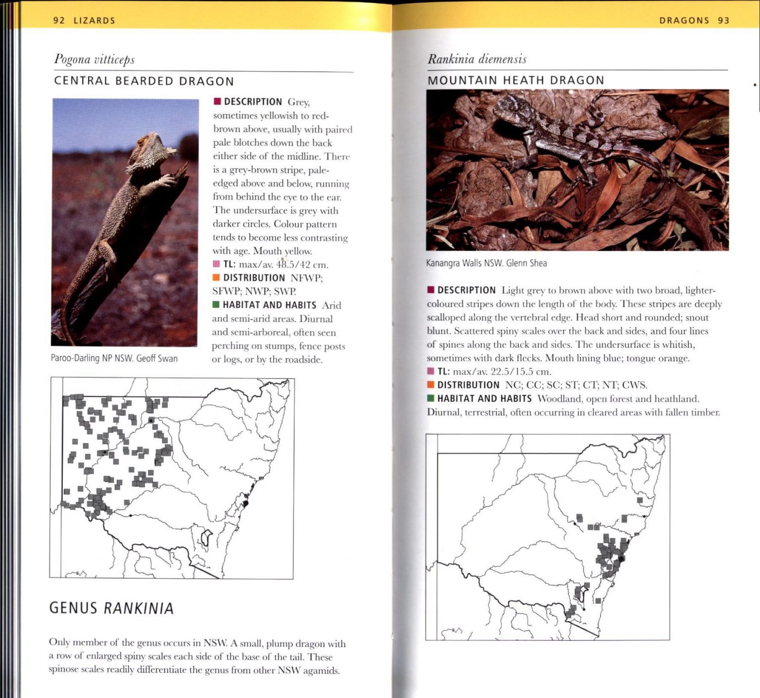 A Field Guide to Reptiles of New South Wales (Fourth Edition) - Nokomis