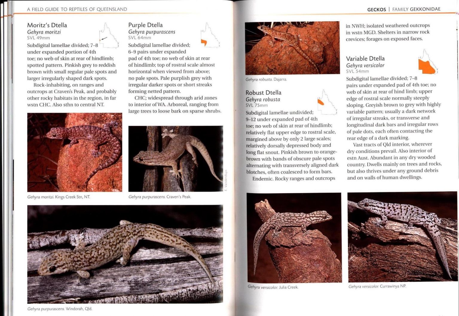 A Field Guide to Reptiles of Queensland (Third Edition) - Nokomis