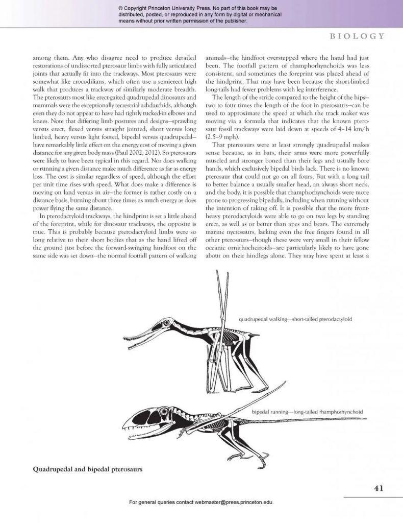 The Princeton Field Guide to Pterosaurs - Nokomis
