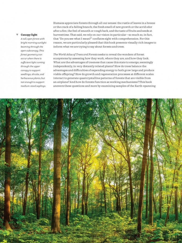 The World Atlas of Trees and Forests: Exploring Earth's Forest ...