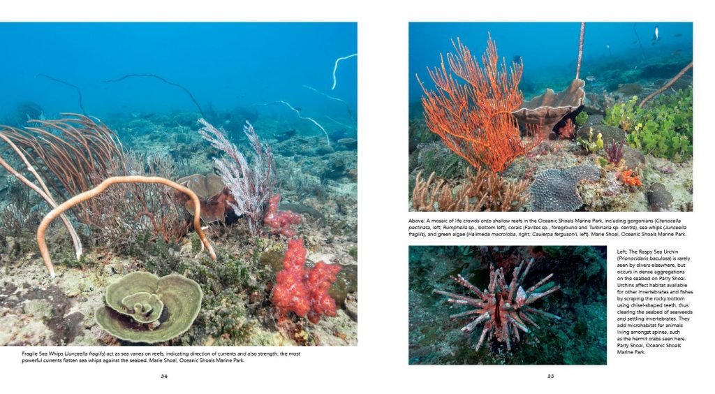 Living Offshore Reefs of Australian Marine Parks - Nokomis