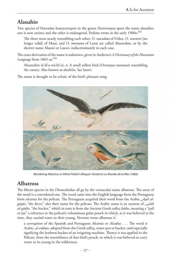 The Bird Name Book: A History of English Bird Names - Nokomis
