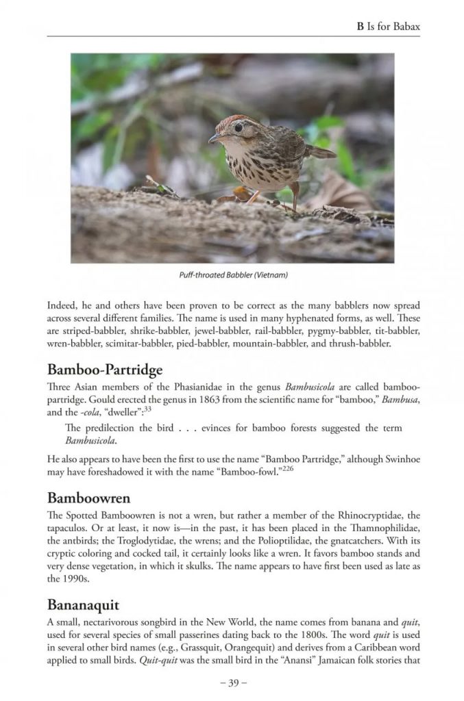 The Bird Name Book: A History of English Bird Names - Nokomis