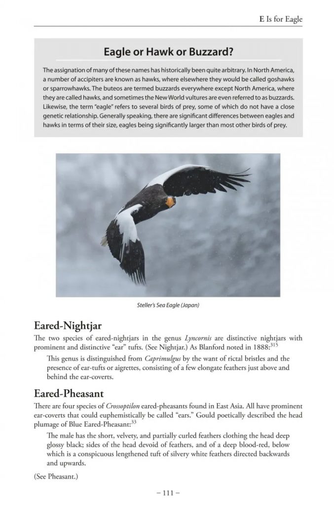 The Bird Name Book: A History of English Bird Names - Nokomis