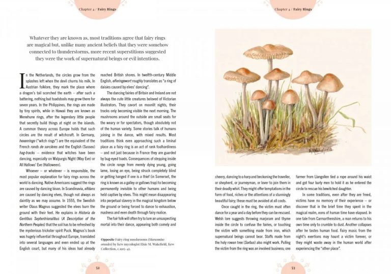 The Magic of Mushrooms: Fungi in Folklore, Superstition and Traditional ...