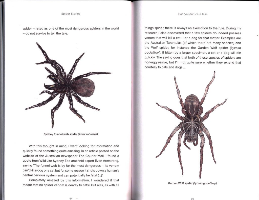 Spider Stories: My Journey from Phobia to Fascination - Nokomis