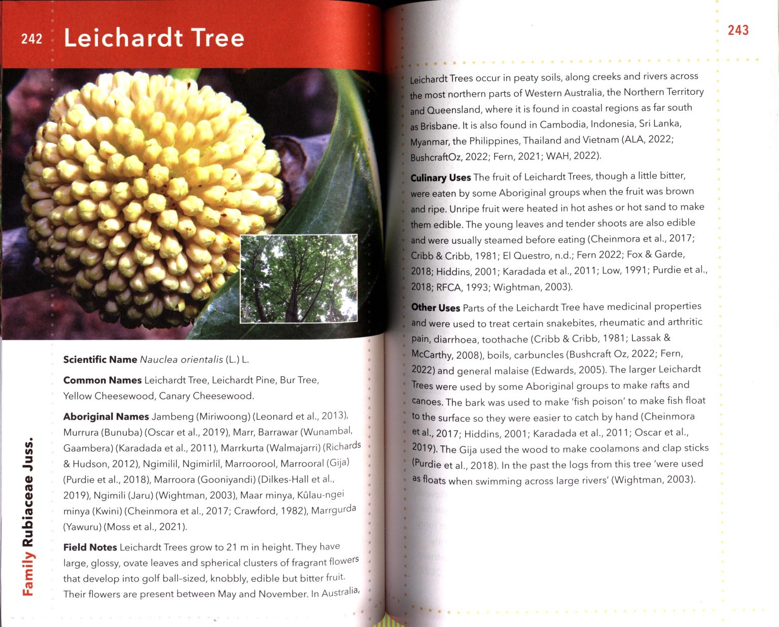 Kimberley Bush Food: Edible Plants of the Kimberley Region of Western ...
