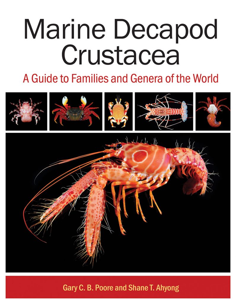 Marine Decapod Crustacea: A Guide to Families and Genera of the World ...