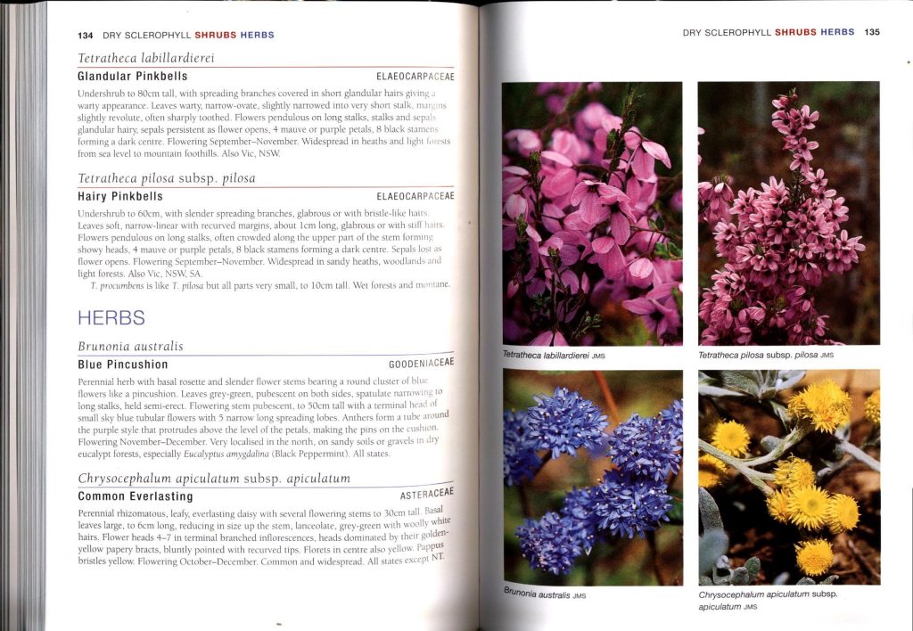 A Guide to Flowers & Plants of Tasmania (Sixth edition) - Nokomis