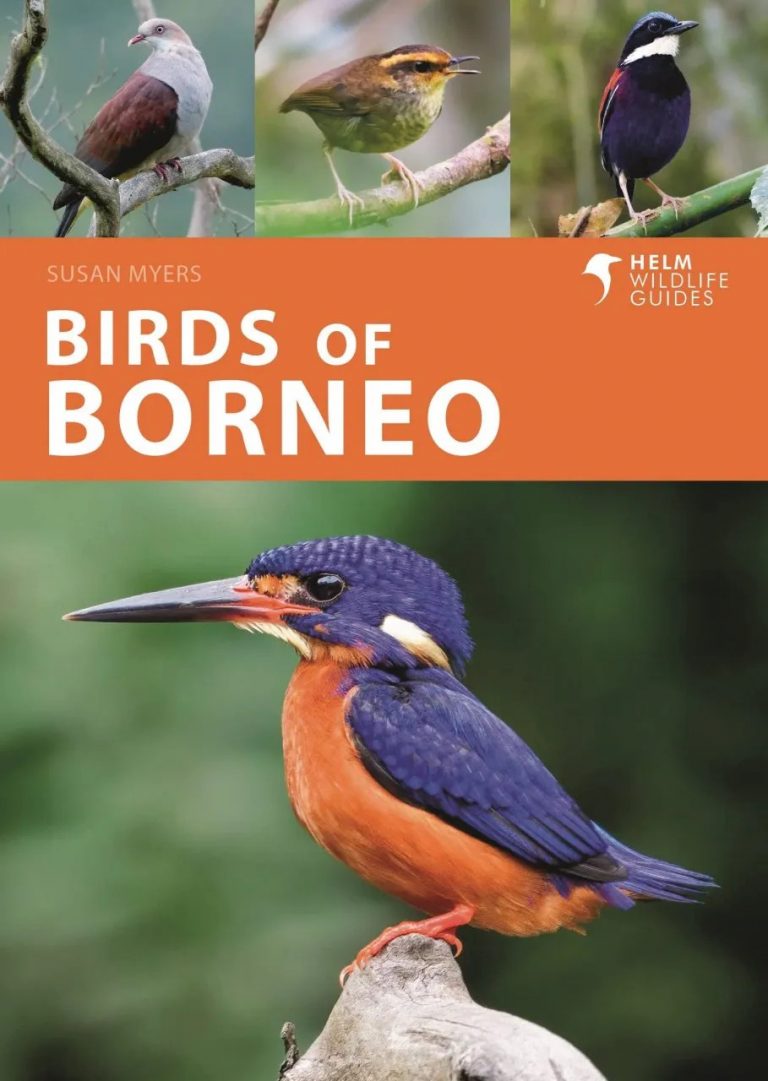 Birds of Borneo - Nokomis