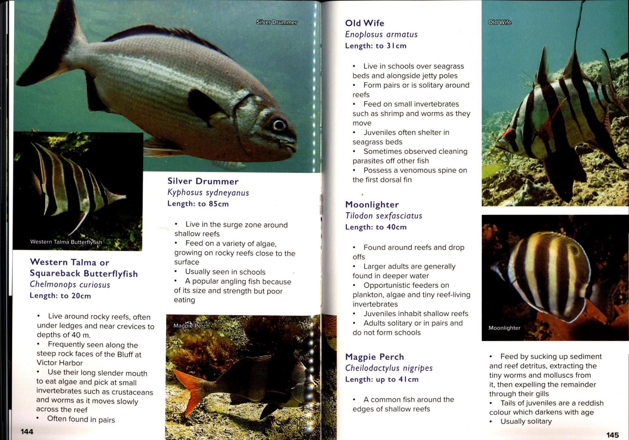 Fleurieu Peninsula: Animals of Land, Sea and Sky - Nokomis