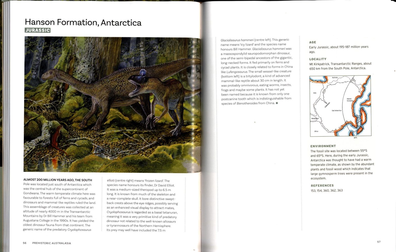 Prehistoric Australasia: Visions of Evolution and Extinction - Nokomis