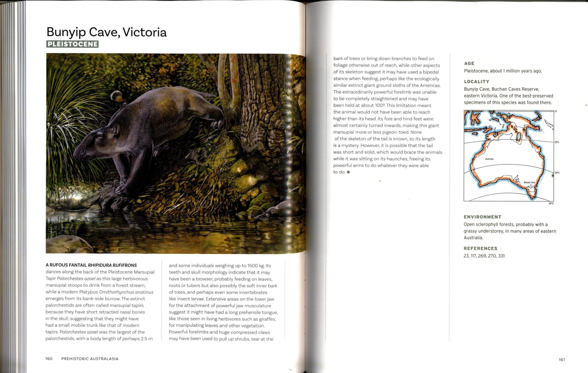 Prehistoric Australasia: Visions of Evolution and Extinction - Nokomis