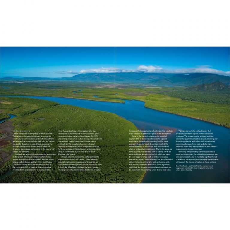 Wetlands of Queensland - Nokomis