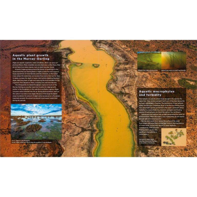 Wetlands of Queensland - Nokomis