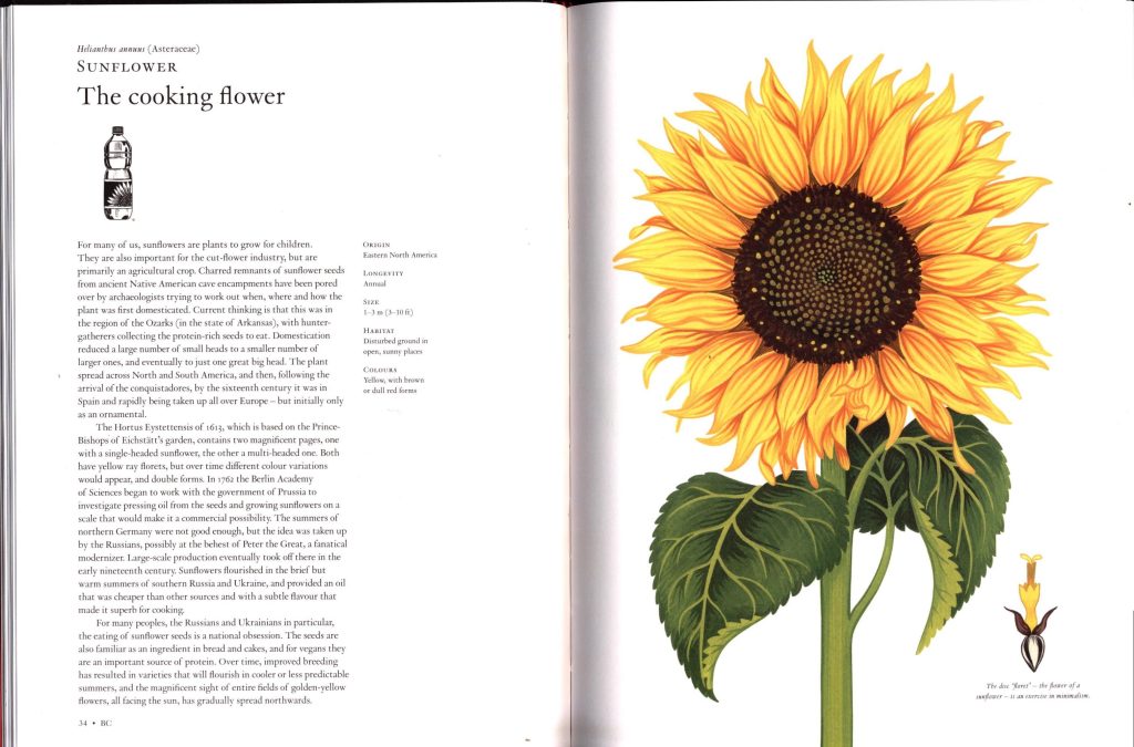 The Story of Flowers And How They Changed the Way We Live - Nokomis