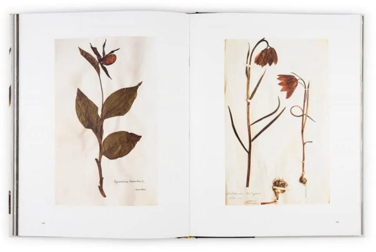 Collecting Nature: A History of the Herbarium and Natural Specimens ...
