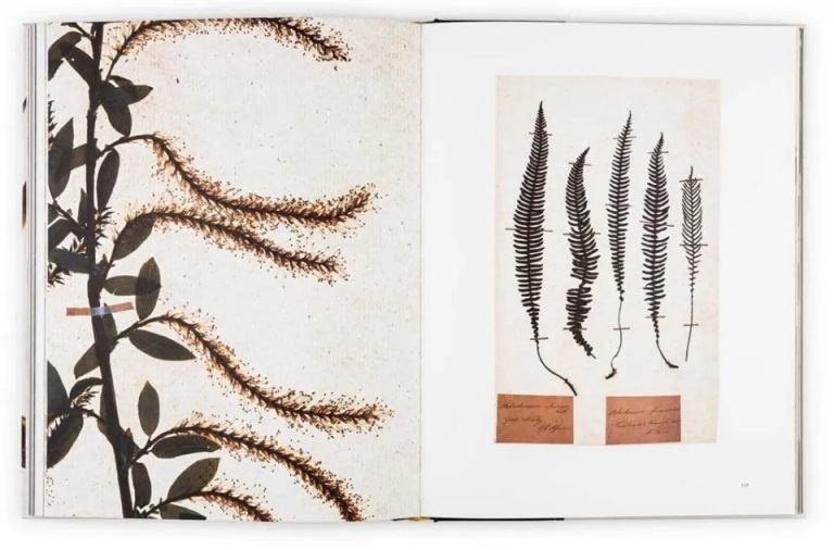 Collecting Nature: A History of the Herbarium and Natural Specimens ...