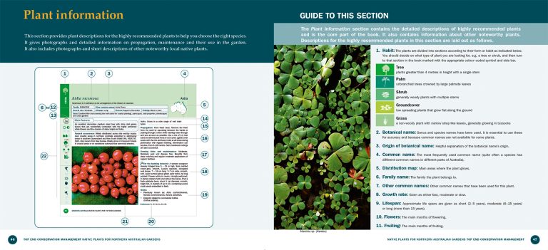 Native Plants for Northern Australian Gardens - Nokomis
